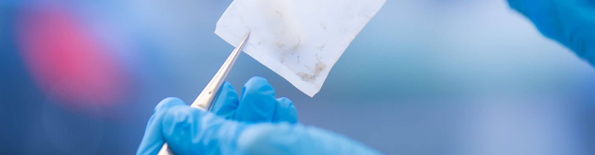 BioMonde Multi-lingual Website Build - Arkay Digital